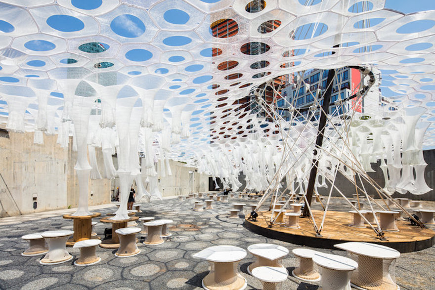 Living canopy changes its appearance throughout the day | Design Indaba