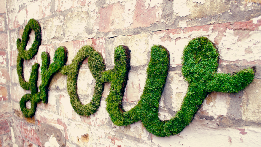 Could plant-based graffiti be the street art of the future? | Design Indaba