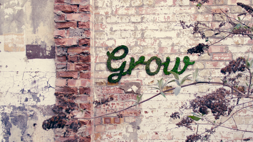Could plant-based graffiti be the street art of the future? | Design Indaba