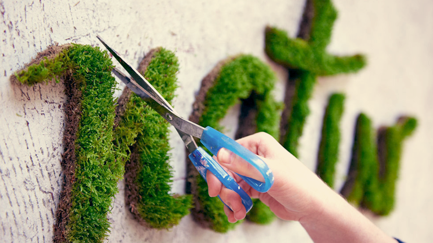 Could plant-based graffiti be the street art of the future? | Design Indaba