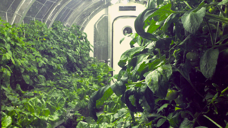 The inflatable garden that could sustain life on Mars and beyond ...