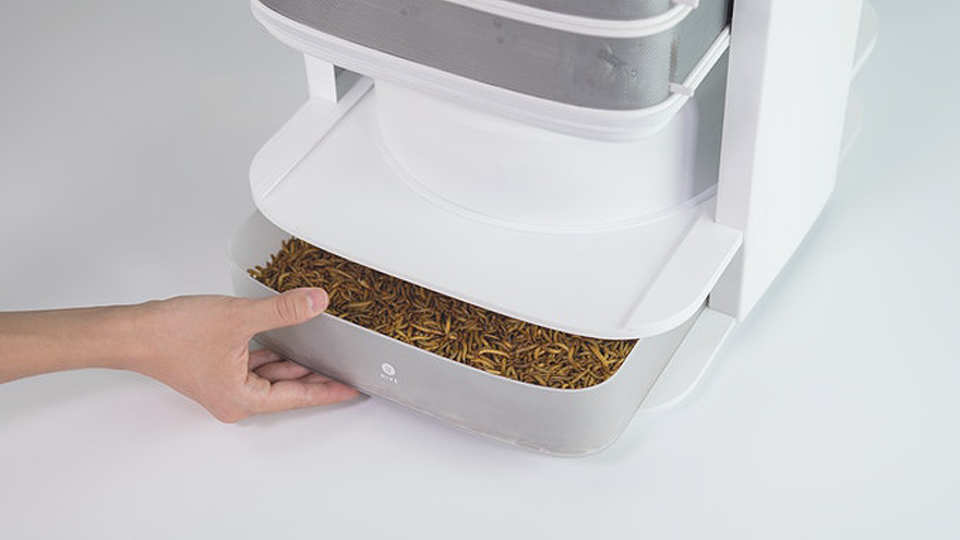 Could this convenient bug harvesting design make insect-based diets ...