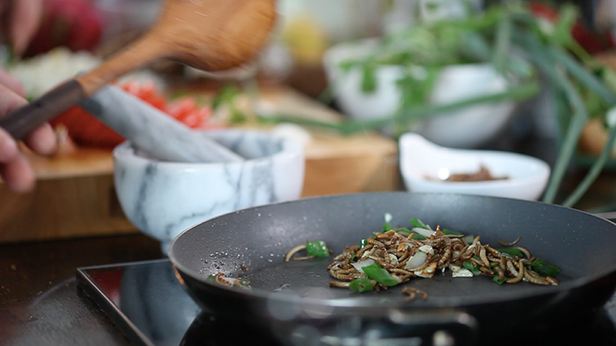 Could this convenient bug harvesting design make insect-based diets ...