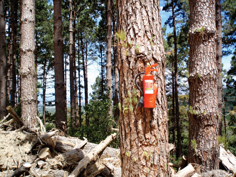 Only you can prevent forest fires | Design Indaba