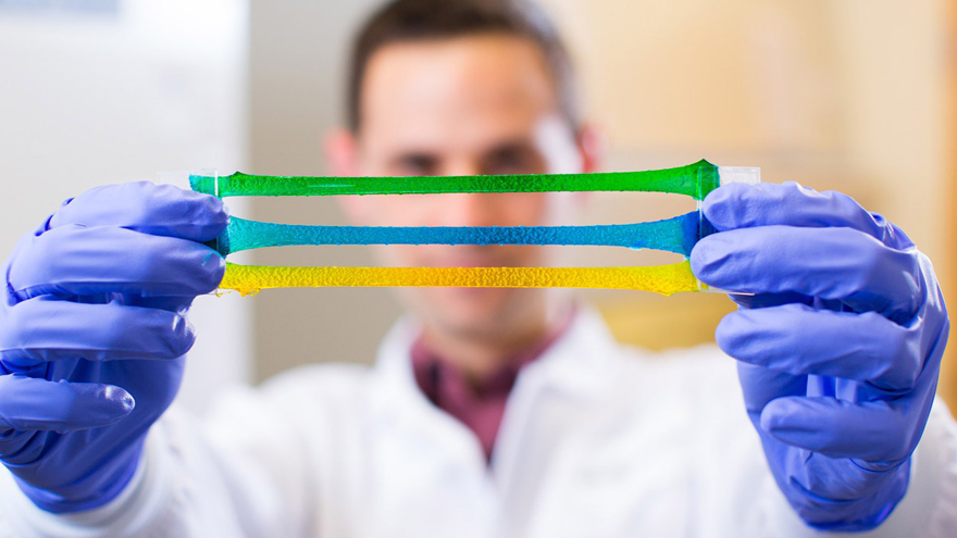 A wound-healing gel inspired by slugs | Design Indaba
