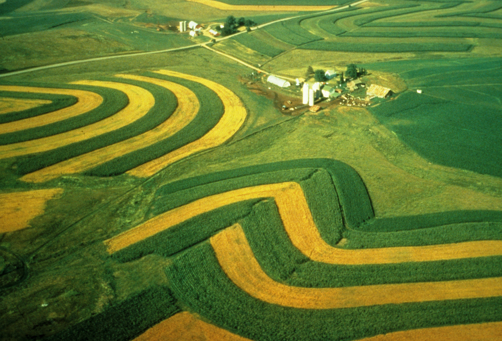 Regenerative agriculture can make farmers stewards of the land again ...