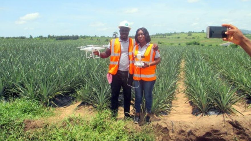 How digital technologies can help Africa’s smallholder farmers | Design ...