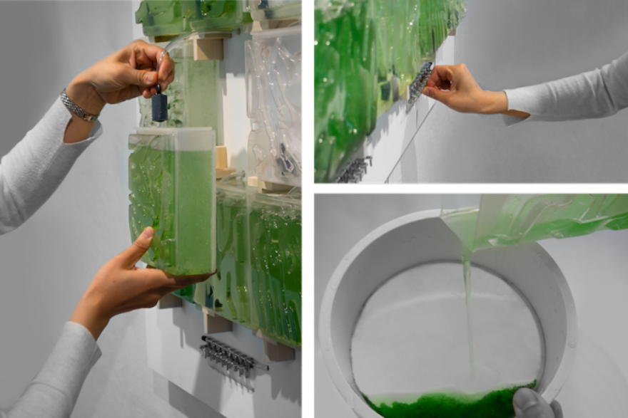 Is algae the material of the future? | Design Indaba