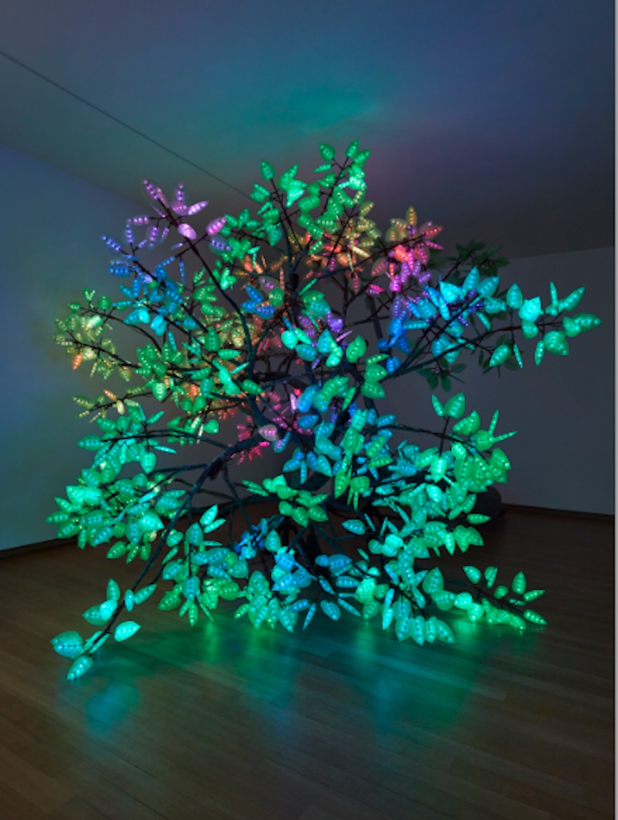 Setting down roots | Design Indaba