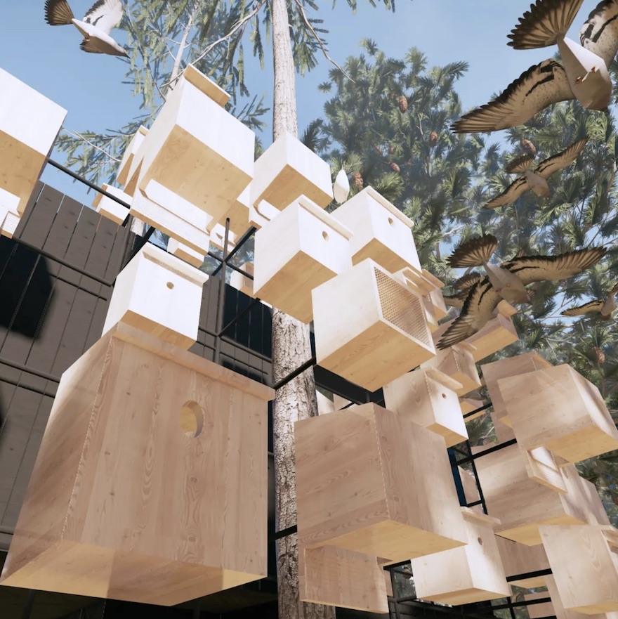 For the birds | Design Indaba