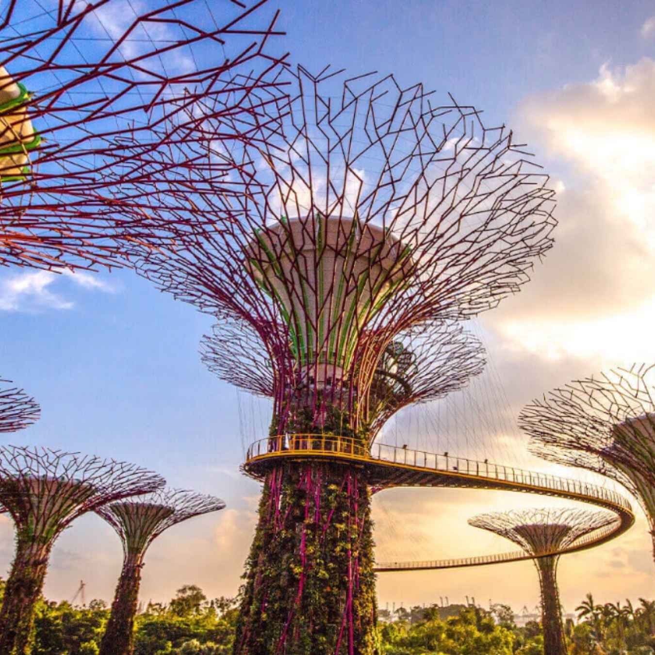 Biophilic city | Design Indaba