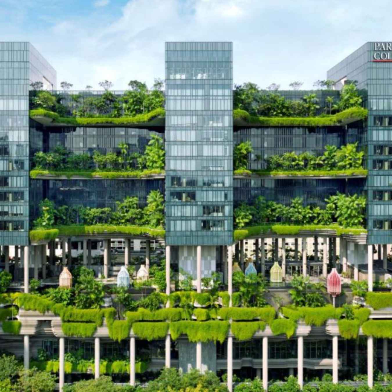Biophilic city | Design Indaba
