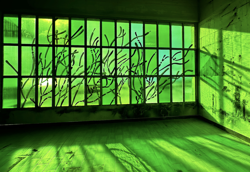 Everything Eats Light | Design Indaba