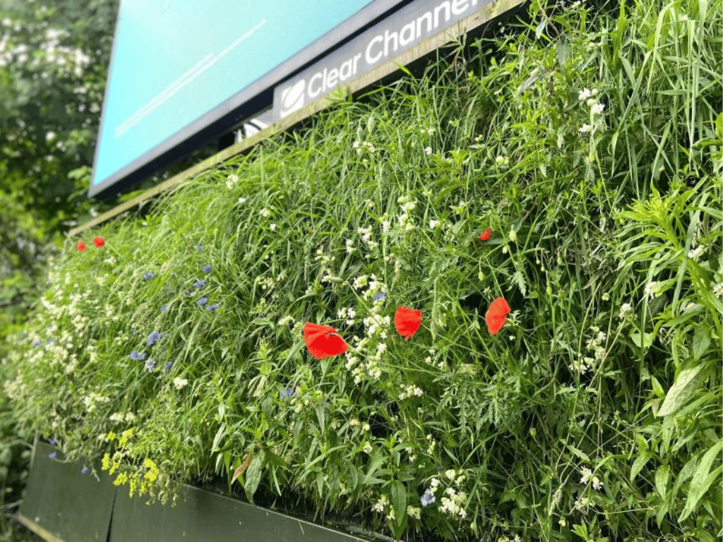 Vertical Meadows | Design Indaba