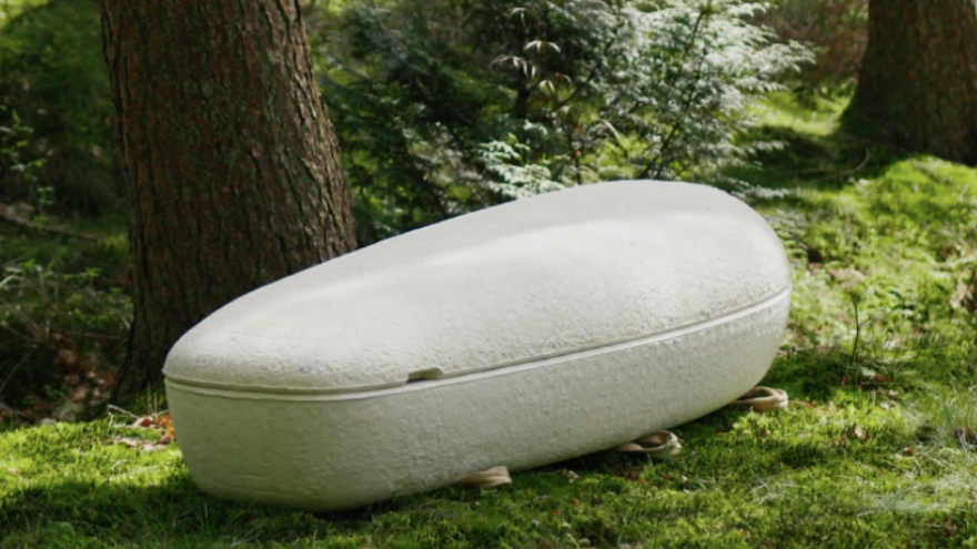 Living Cocoon | Design Indaba