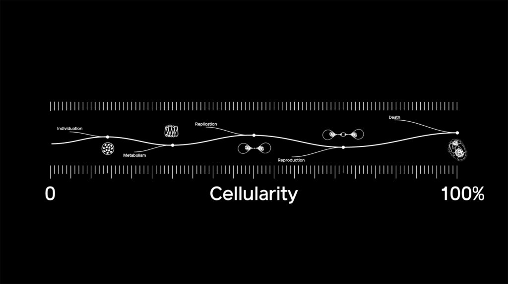 Cellularity | Design Indaba