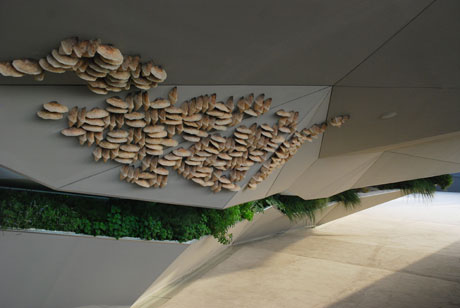 Green city installations for Seed Cathedral | Design Indaba