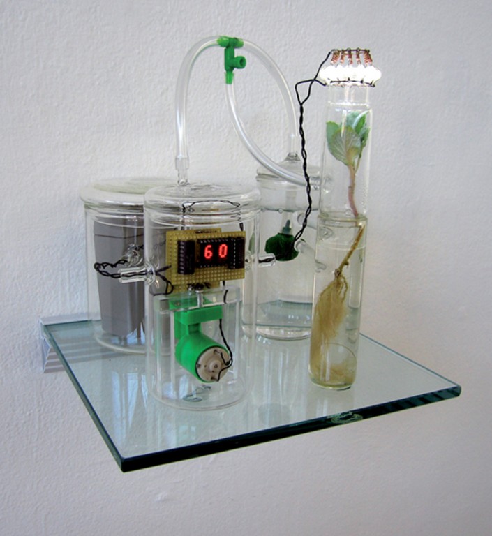 Growth and death | Design Indaba