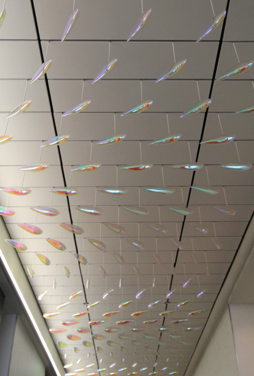 Like a fish in the sea | Design Indaba