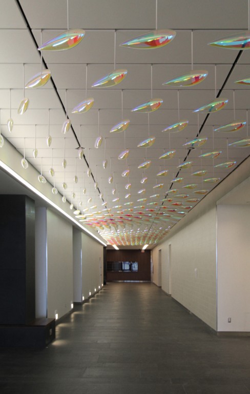 Like a fish in the sea | Design Indaba