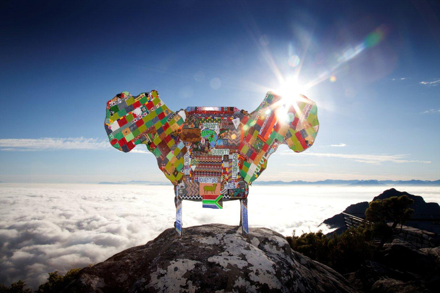 Most Beautiful Object in South Africa | Design Indaba