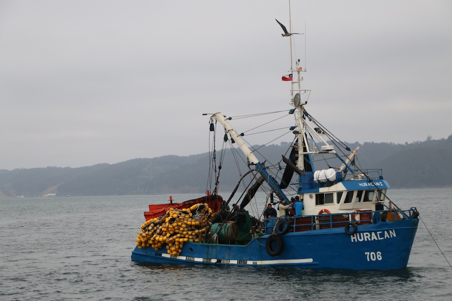 Bureo turn old fishing nets into skateboards | Design Indaba