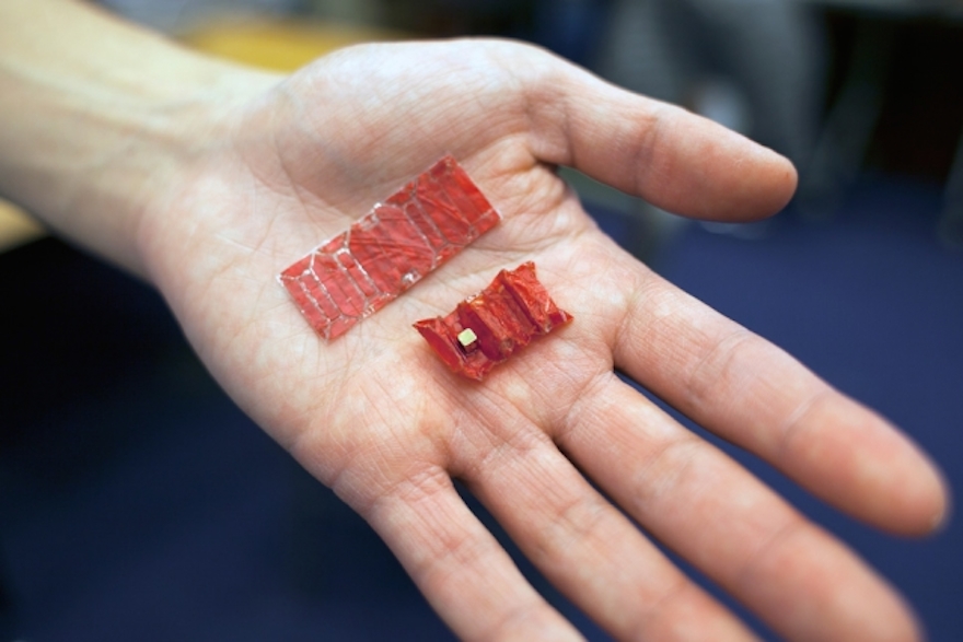 Ingestible origami robot can patch a wound from the inside | Design Indaba