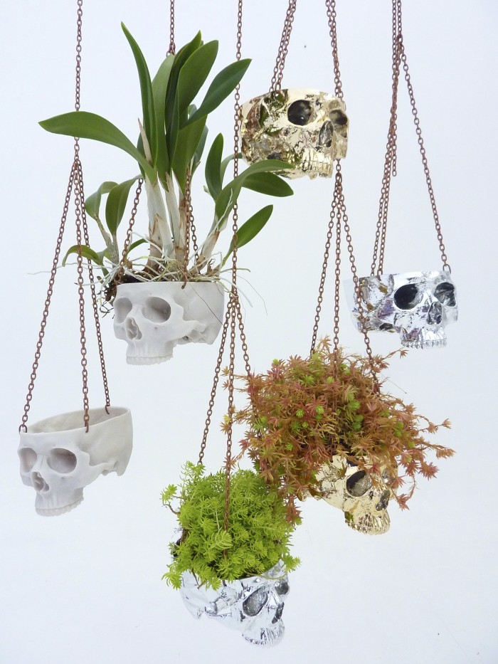 skull plant holders (With images) | Gothic home decor, Horror decor ...
